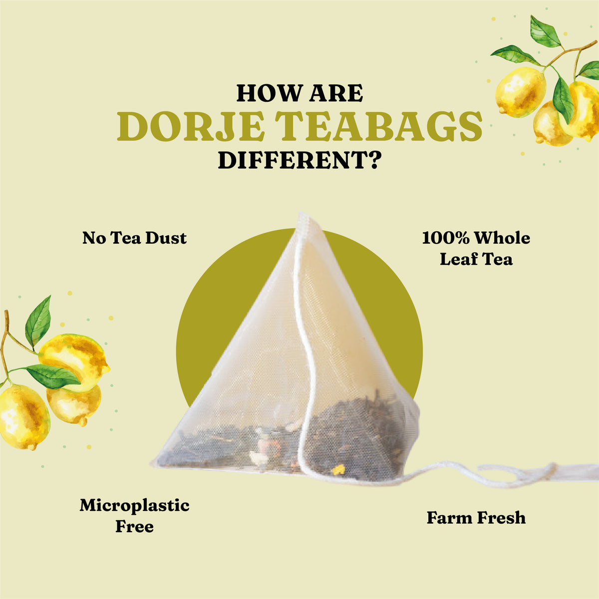 Honey Lemon Tea Pyramid Teabags | Dorje Teas