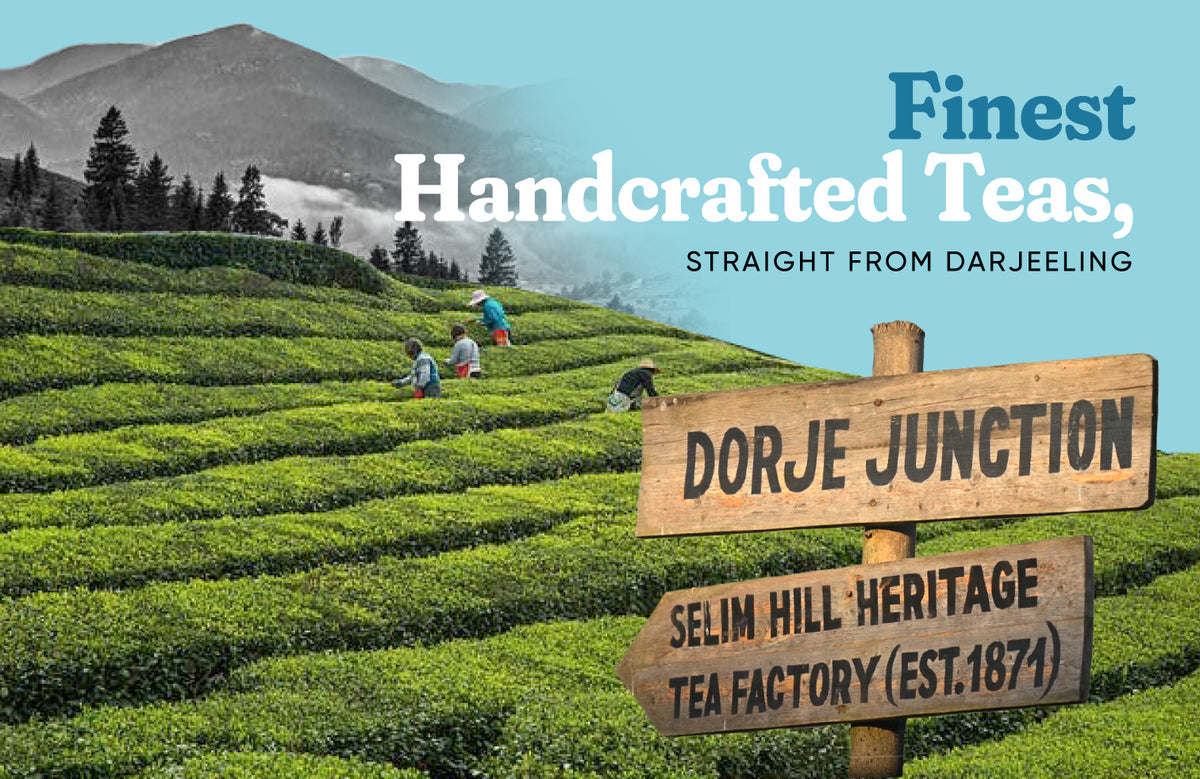 Dorje Teas | The Original Taste of Darjeeling
