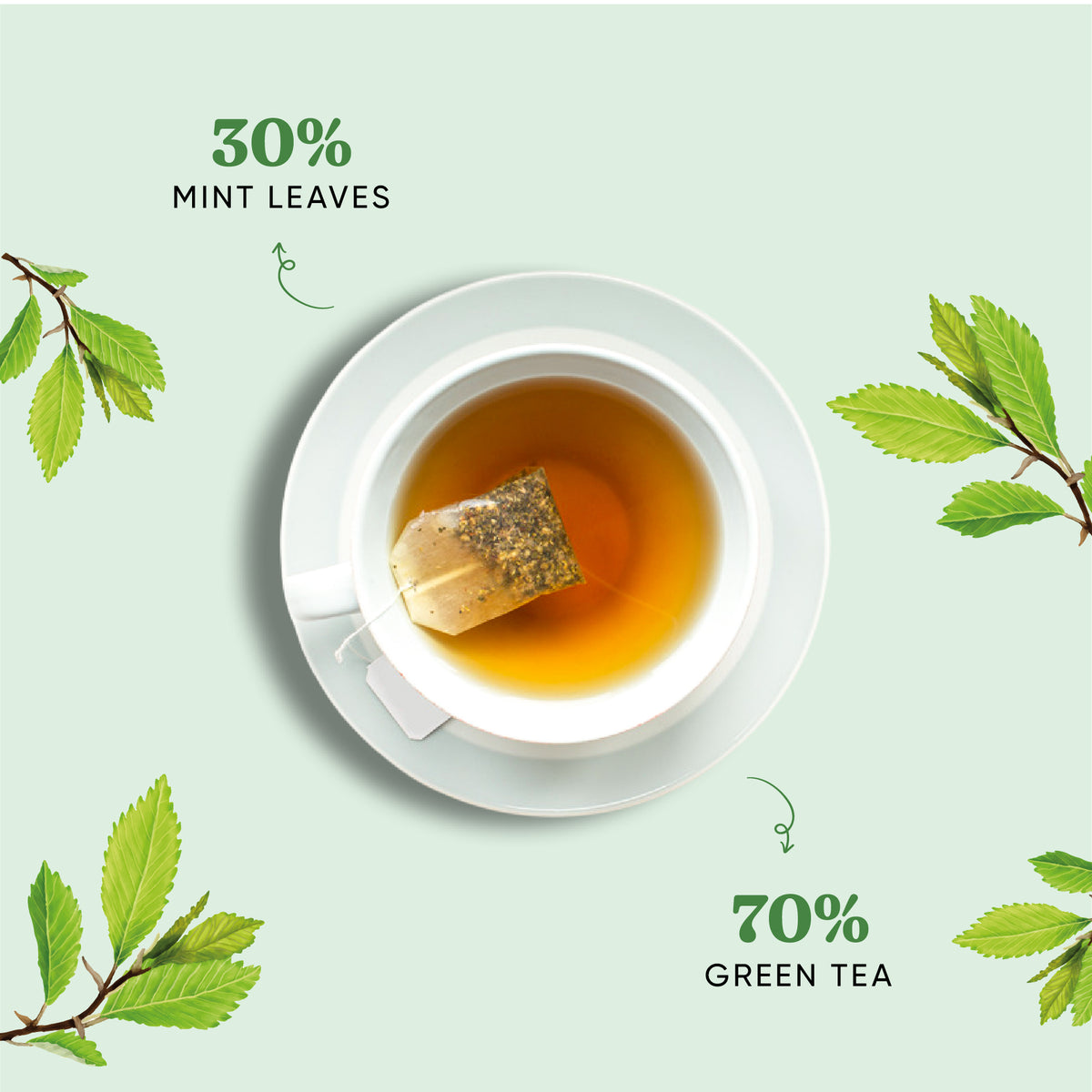 Mint Tea Pyramid Teabags | Dorje Teas