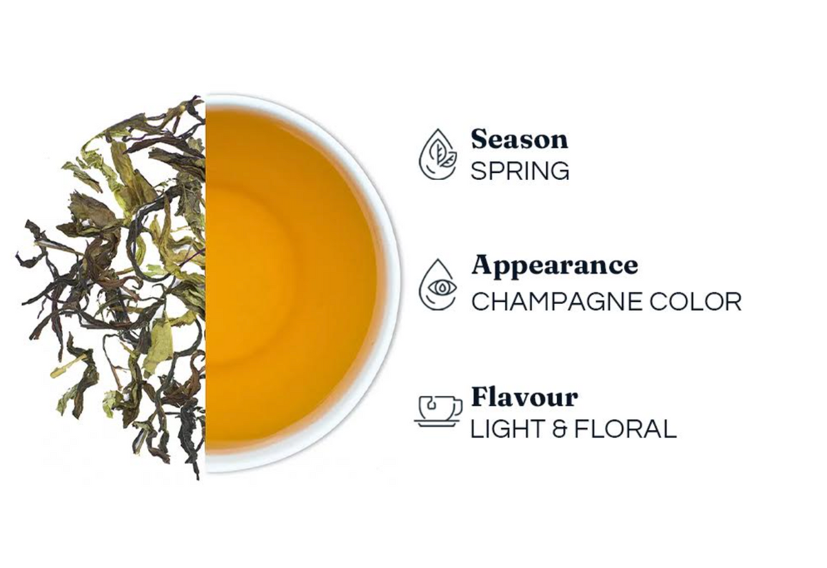 First Flush Darjeeling Tea - The Champagne of Teas | Dorje Teas