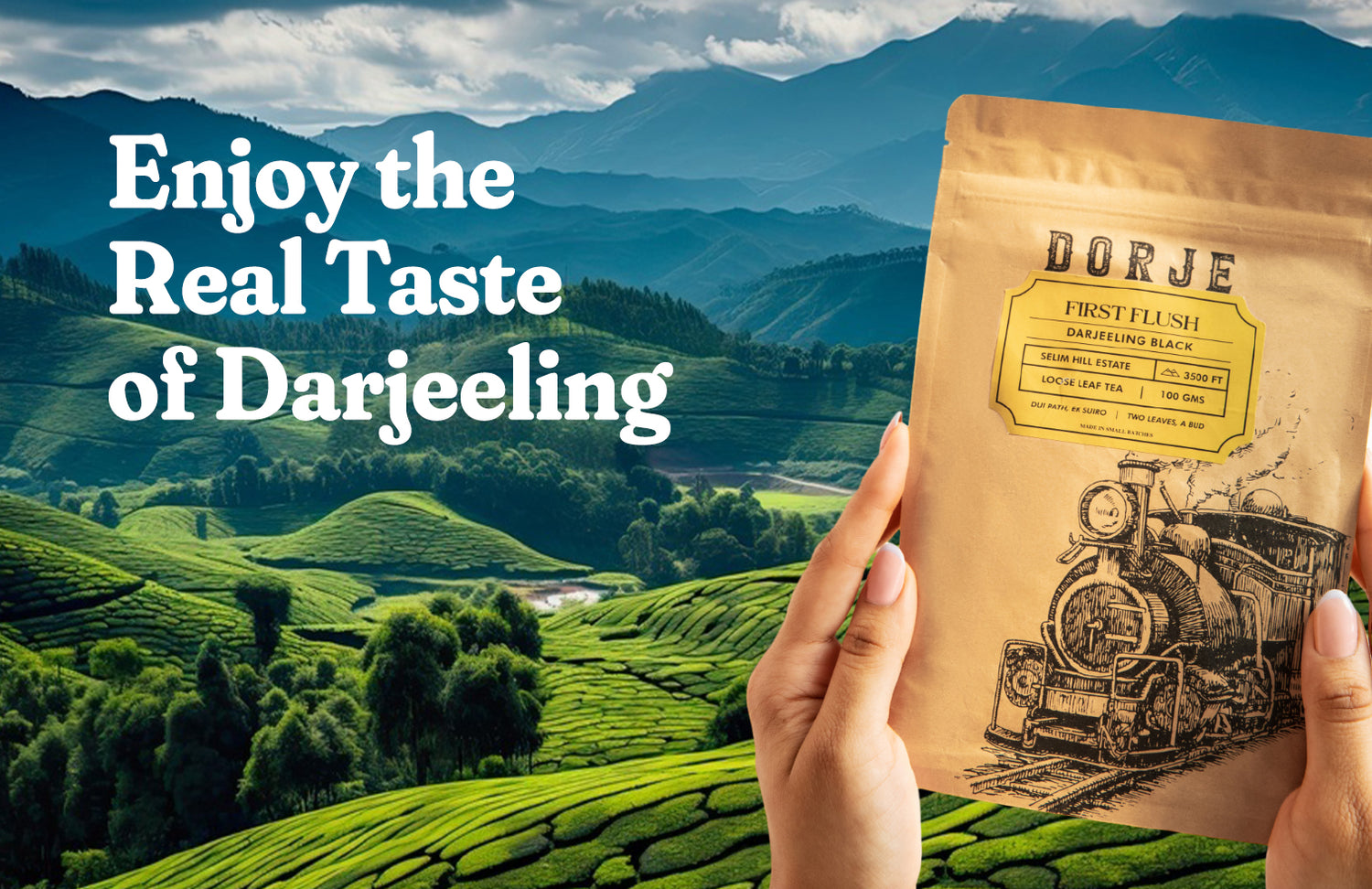 Buy Premium Darjeeling Tea Online | Dorje Teas