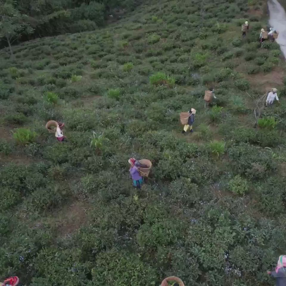 The Original Chai | Farm se Fresh | Doodh Waali Chai | Dorje Teas