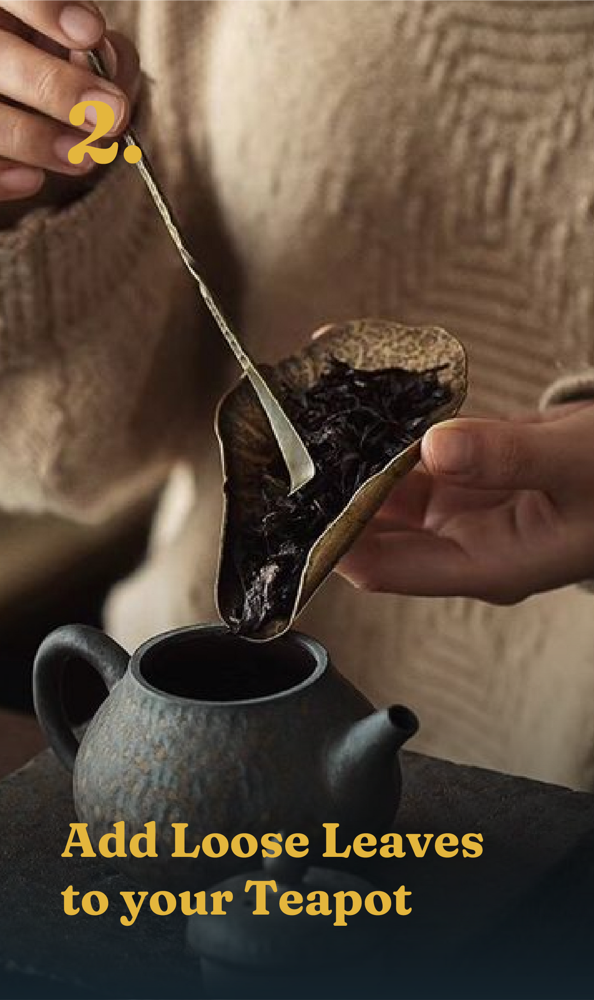 First Flush Darjeeling Tea - The Champagne of Teas | Dorje Teas