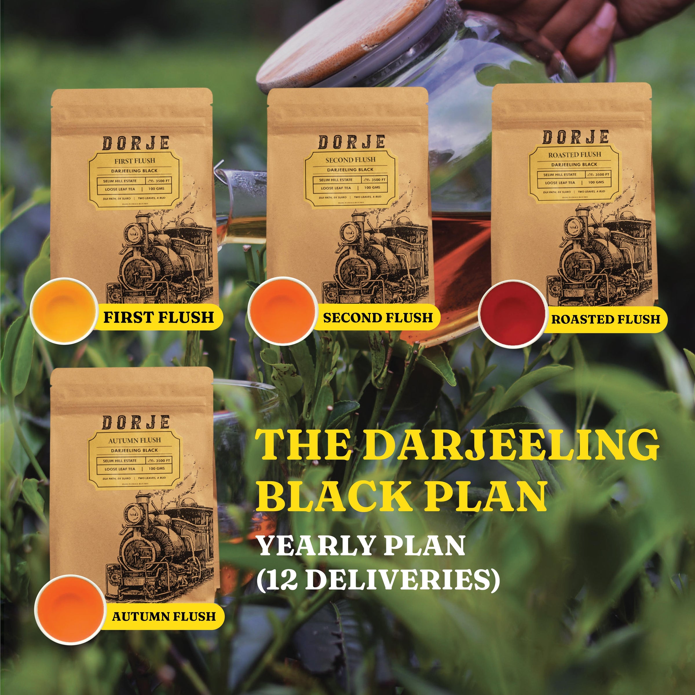 Buy Premium Darjeeling Tea Online | Dorje Teas